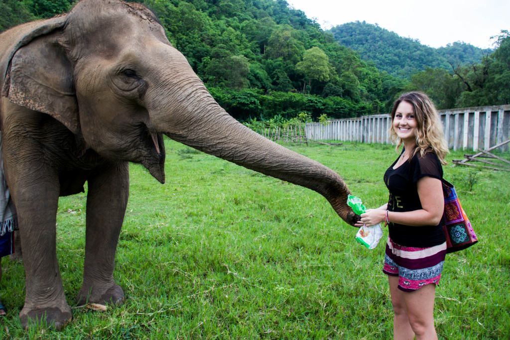 funding-a-rtw-trip-by-teaching-english-in-korea-travel-like-anna-how