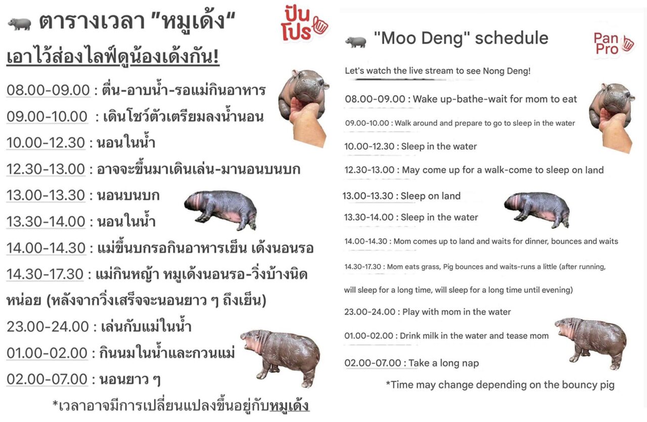 How to Visit Moo Deng from Bangkok Without a Car - Travel Like Anna